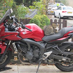 IMG_0003 | Yamaha FZ6 Forums - FZ6 Motorcycle Enthusiasts Forum